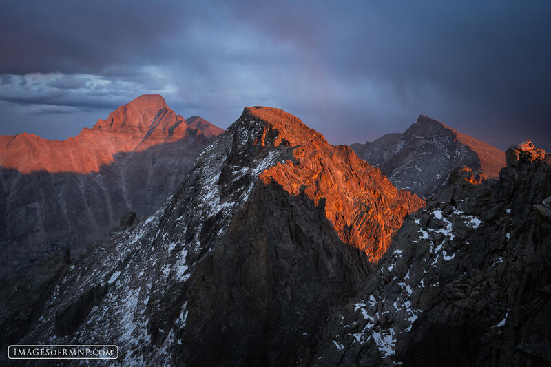 Alpine Royalty | Remote Rocky | Images of Rocky Mountain National Park