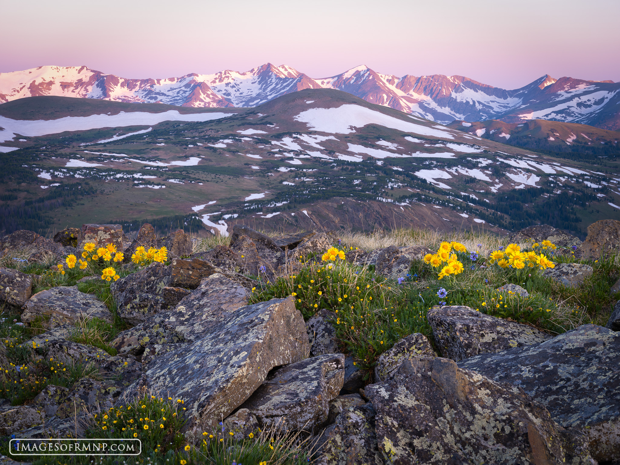 Alpine Tundra Landscape